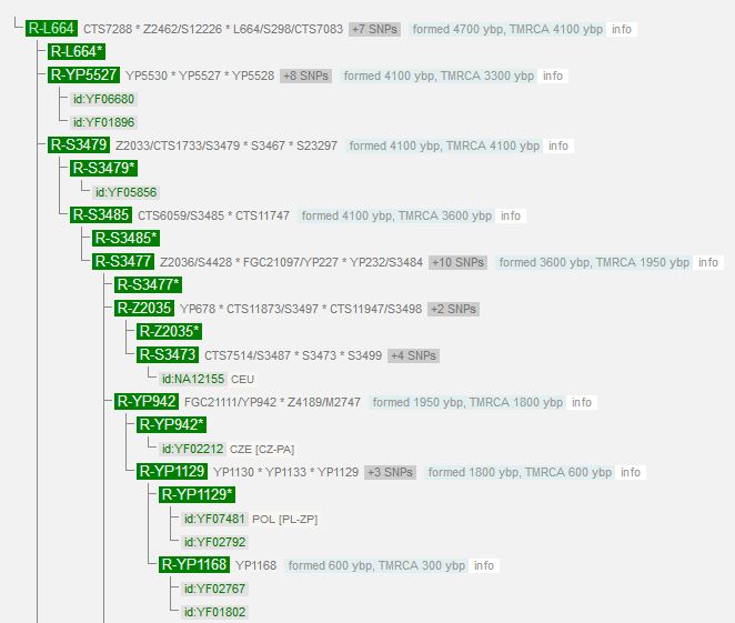 The Frazers of North Roscommon, Ireland: STR Tree and Signature STRs – Hartley DNA & Genealogy
