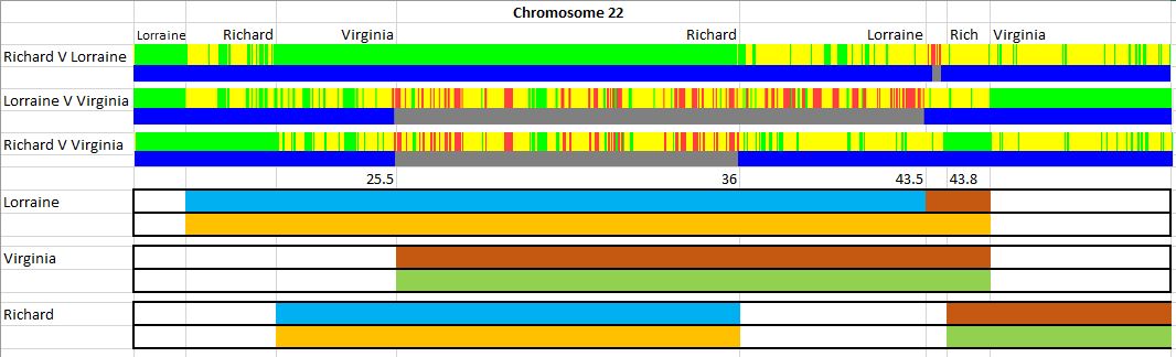 Visual Phasing: My Father in Law’s Chromosome 22 – Hartley DNA & Genealogy