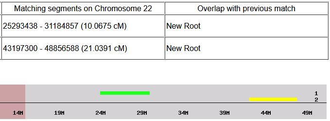 Visual Phasing: My Father in Law’s Chromosome 22 – Hartley DNA & Genealogy