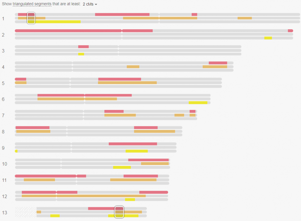 Aunt Esther’s Top DNA Match at MyHeritage: Wallace – Hartley DNA ...