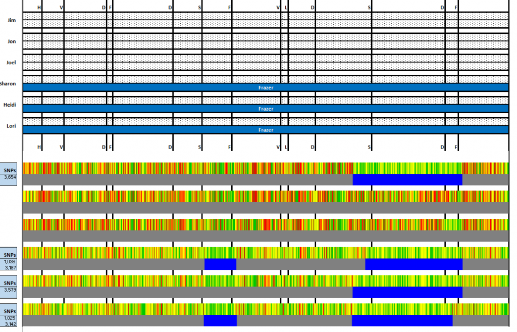 Visual Phasing Six Siblings with the Fox Spreadsheet: Part 1 – The X ...