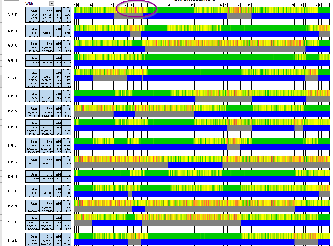 Visual Phasing Six Siblings with the Fox Spreadsheet: Part 10 ...