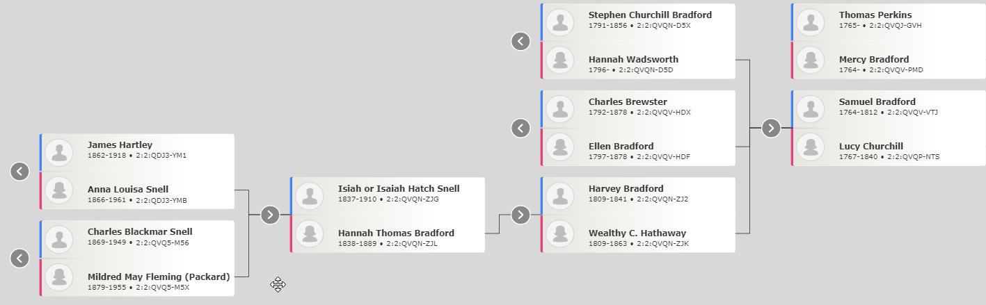 Checking the New Online Mayflower Descendants Database for My Mayflower ...