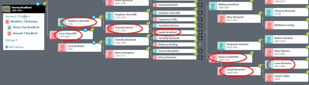 Checking the New Online Mayflower Descendants Database for My Mayflower ...