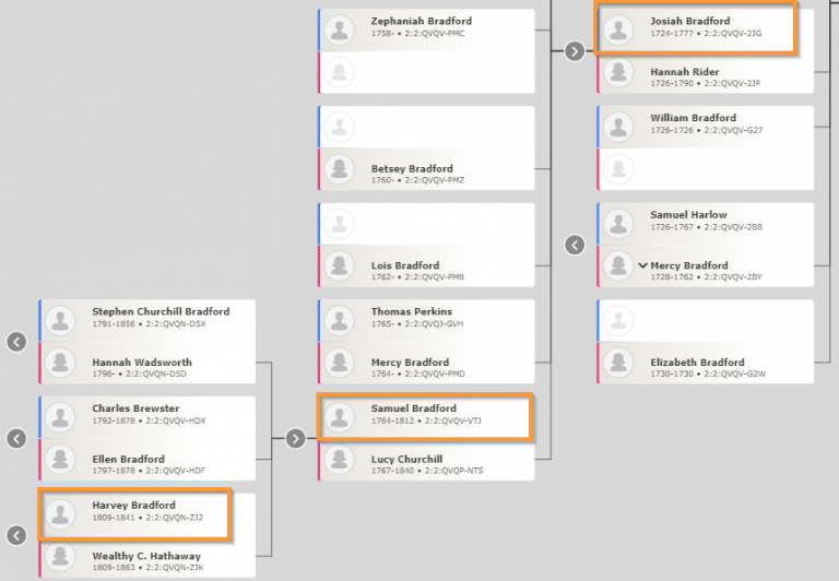 Checking the New Online Mayflower Descendants Database for My Mayflower ...