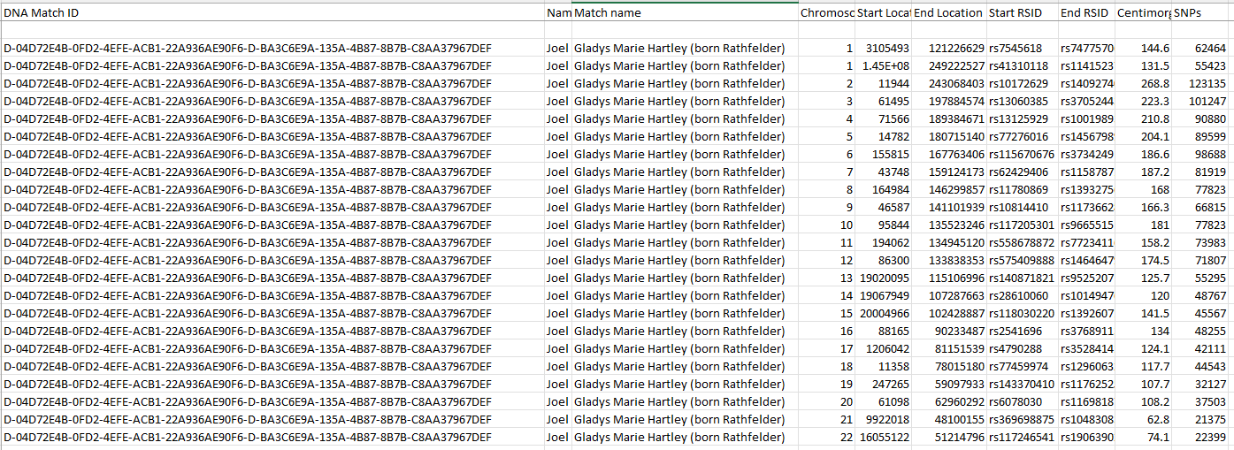 Updating My DNA Match Spreadsheet – Hartley DNA & Genealogy