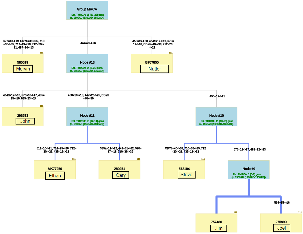 More on Hartley YDNA and STRs – Hartley DNA & Genealogy